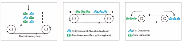 Sunresin Efficiency Chromatography Separation Technology and ...