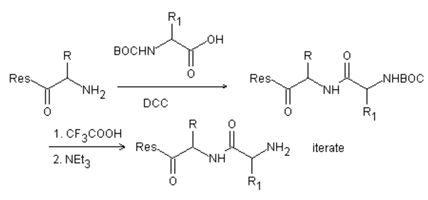 Solid Phase Carrier for Peptide Synthesis - Sunresin